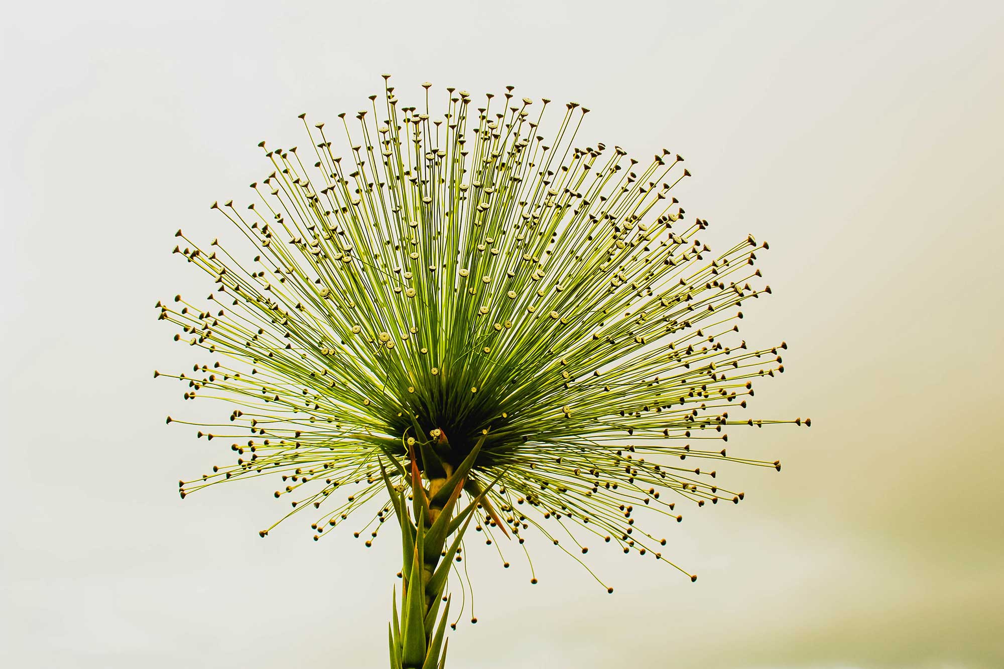 Iudlm Logo Instituto Universitario De Diseño Las Mercedes In